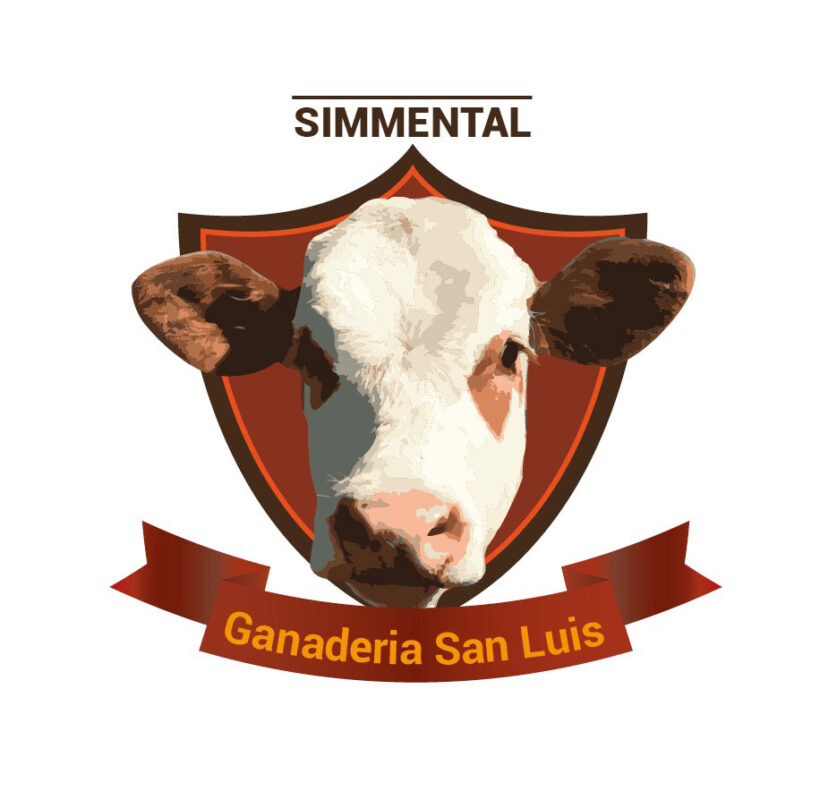 Venta de terneros, embriones, pajillas de ganado Simmental y Simbrah ...
