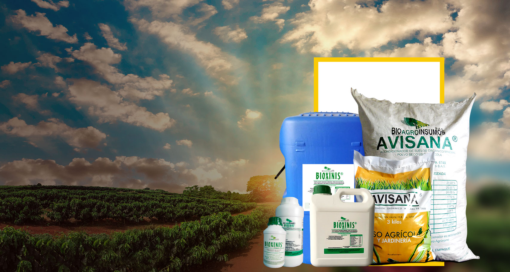 VIDEO Testimonio cliente en Costa Rica con Bioxinis - Bioagroinsumos S.A.S